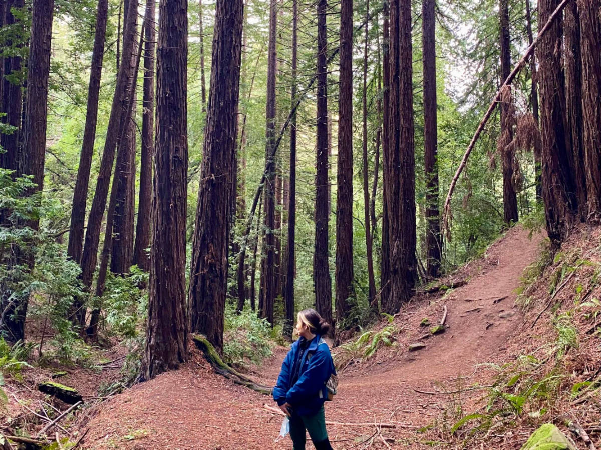 27 Best Hikes Near San Francisco (By a Local)