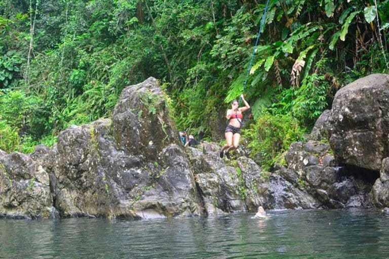 16 Best El Yunque Tours (Picked By a Local)