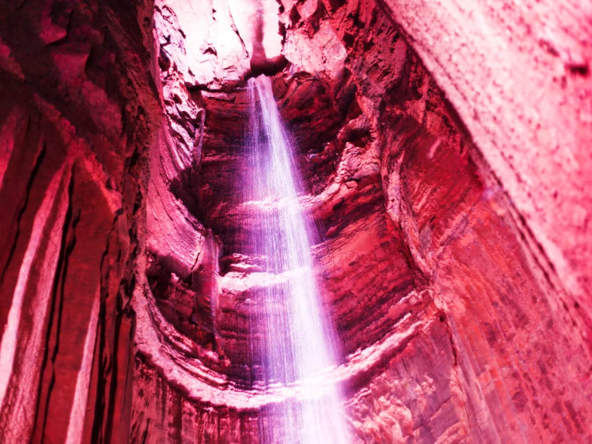 The 34 Essential Things to Do in Tennessee (By a Local)