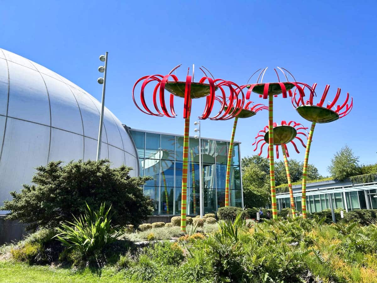 Seattle Center (Ultimate Guide, By a Local)