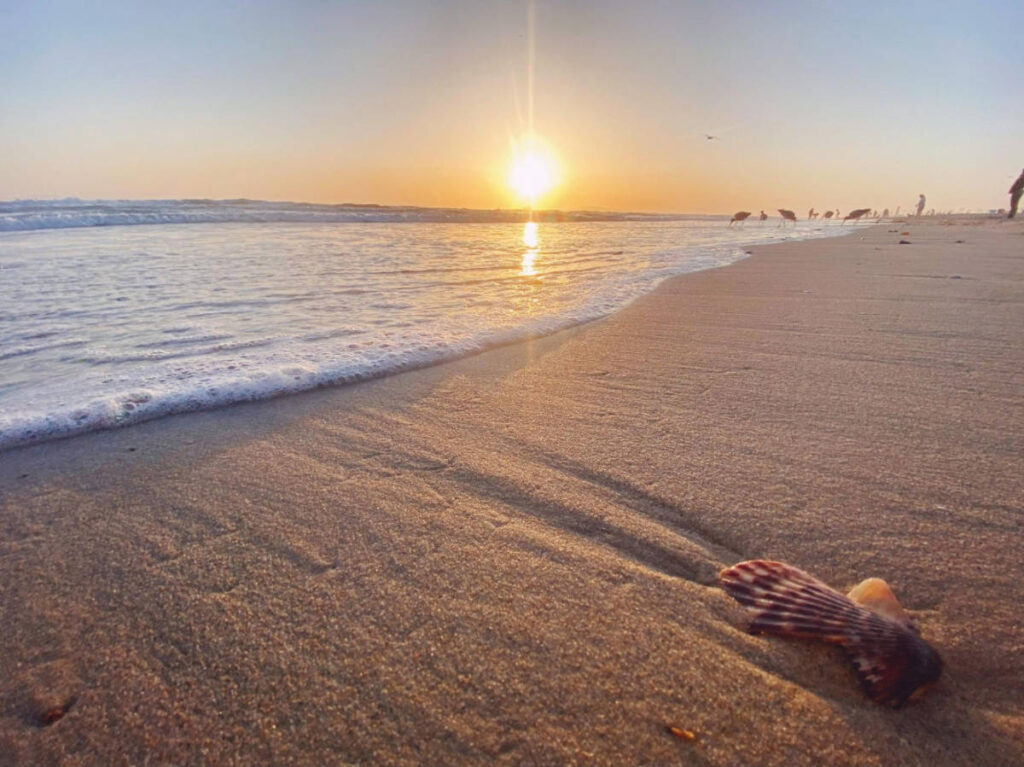 The 26 Best Beaches in California (By a Local)