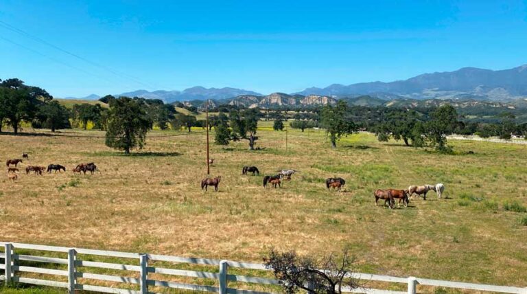 The 27 Best Day Trips from Los Angeles (By a Local)
