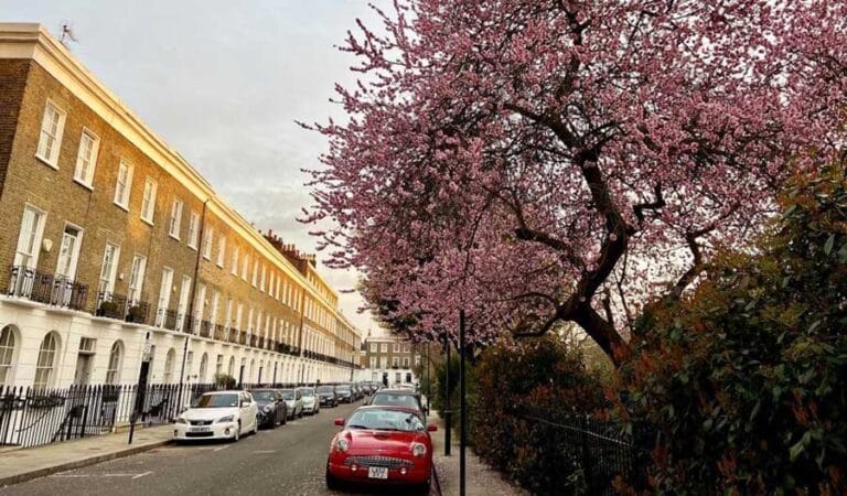 Is London safe for travel? Honest advice from a local