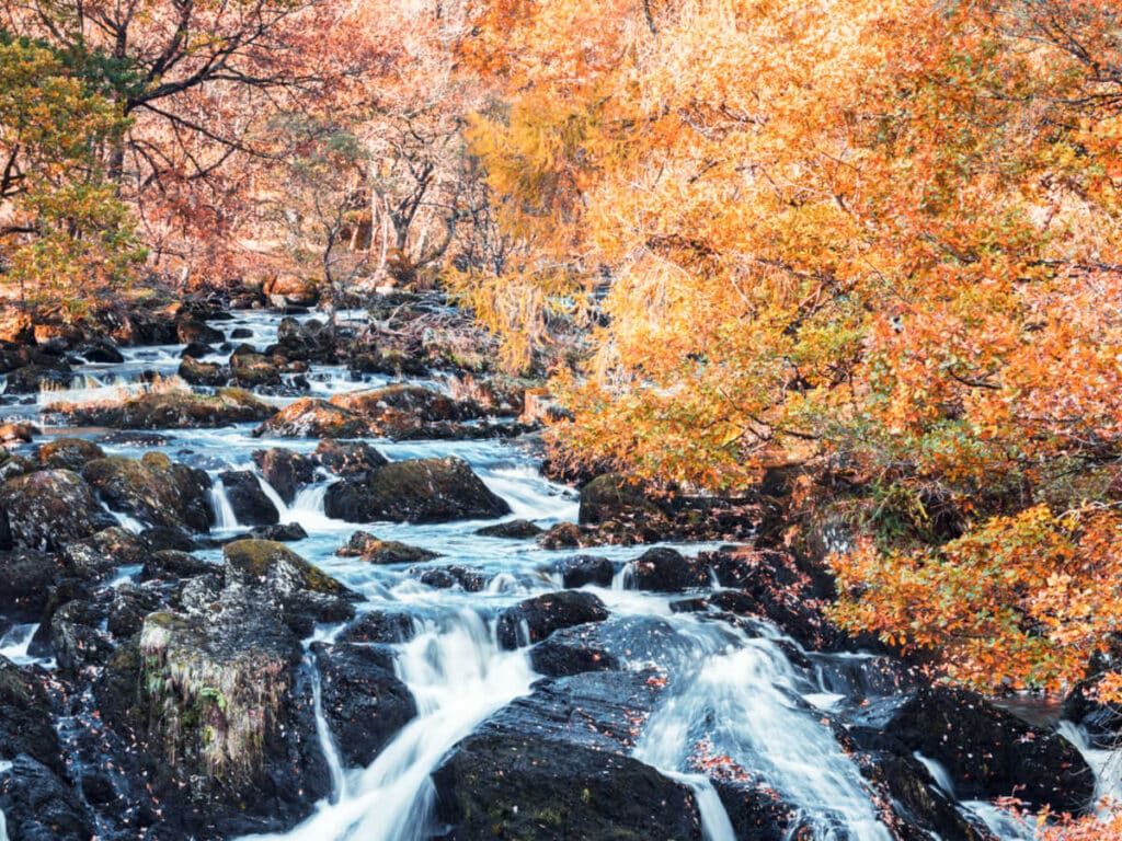This is When to Visit Wales (According to a Local)