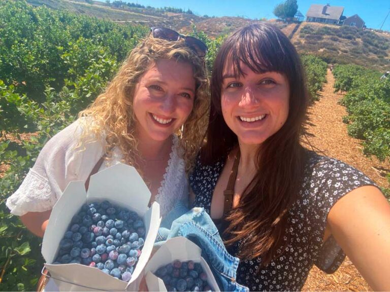 28 Best Things to Do in Temecula, CA