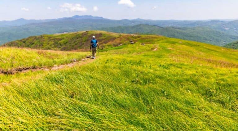 The Top Hiking Trails in New York