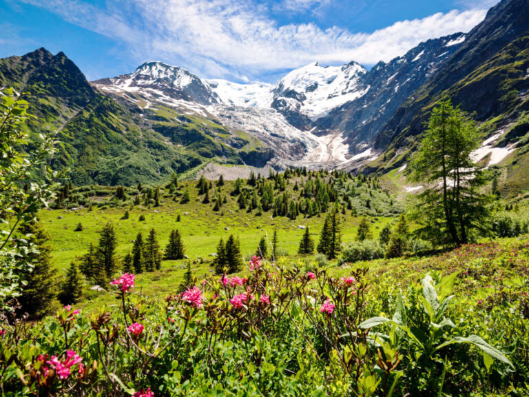 33 Facts About France You May Not Know