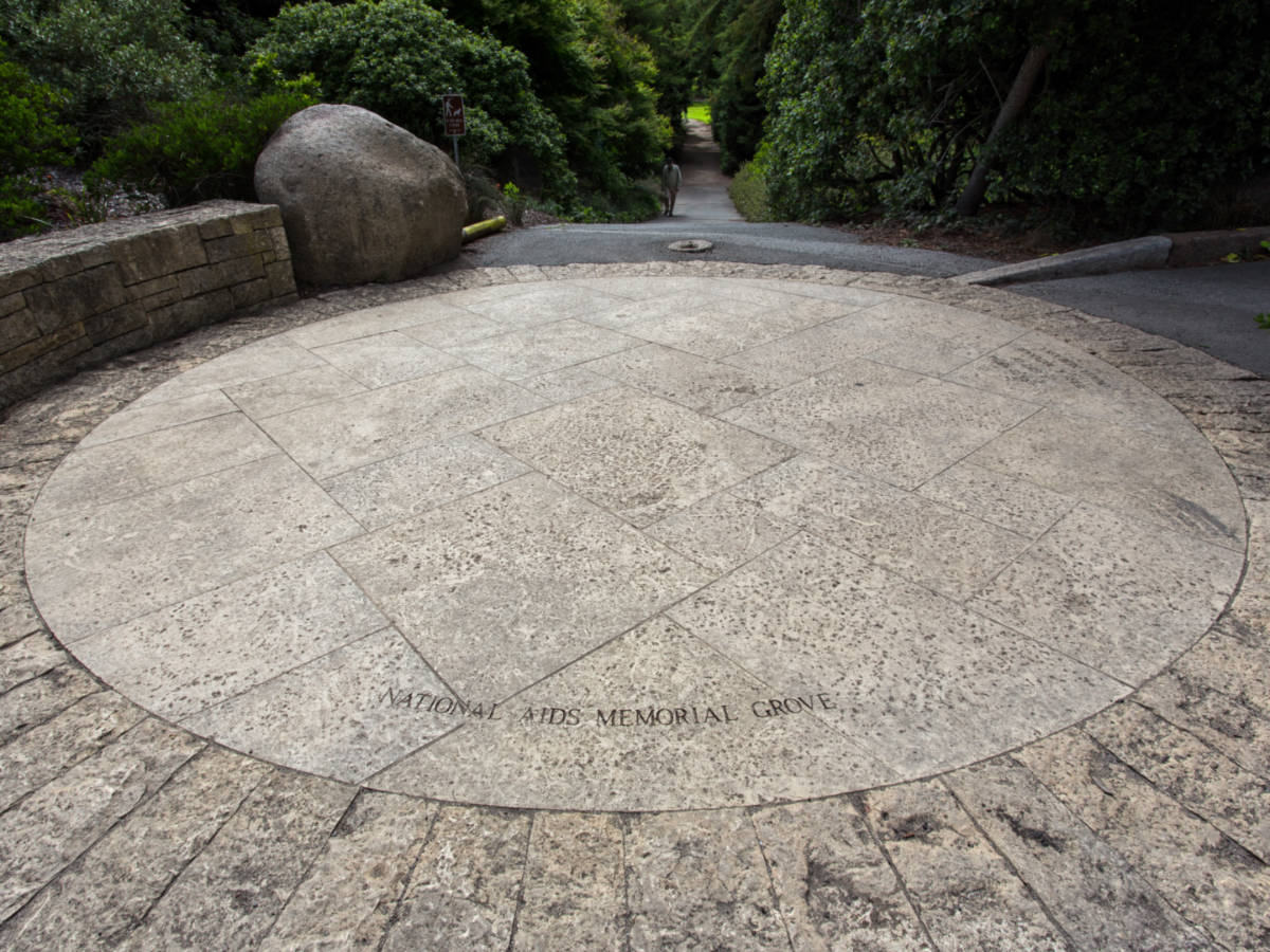 Golden Gate Park (The Ultimate Guide, By a Local)