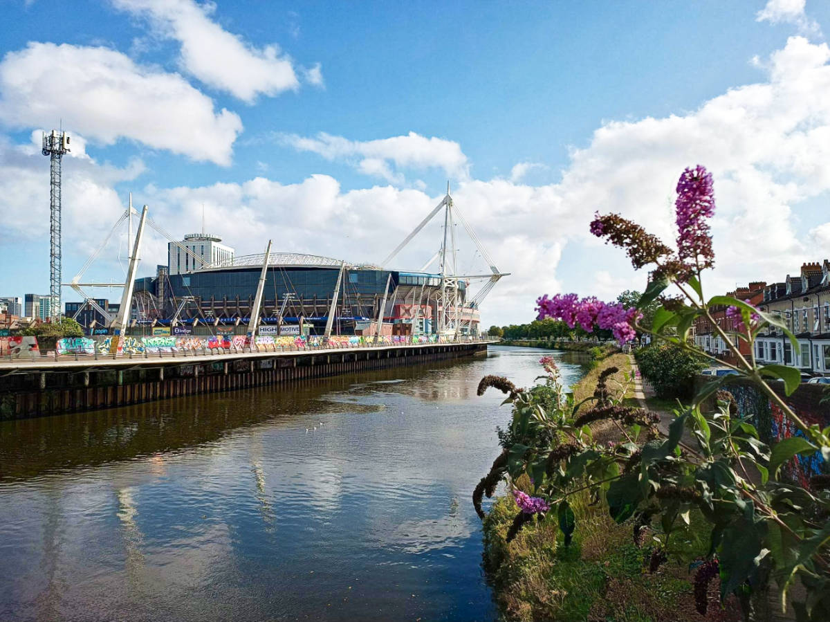 Is Cardiff Safe for Travel? (Practical Advice from a Local)