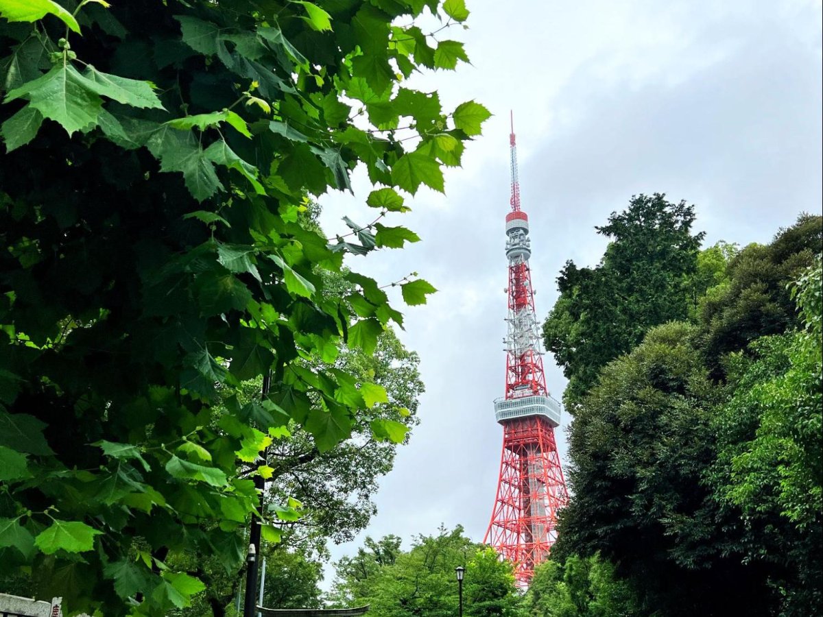 60 Best Things to Do in Tokyo (By a Local) - Travel Lemming
