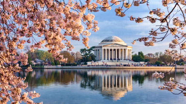 The Essential Things to Do in Washington DC (By a Local)