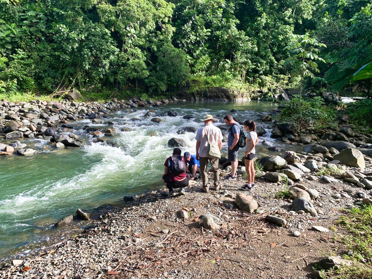 16 Best El Yunque Tours (Picked By a Local)