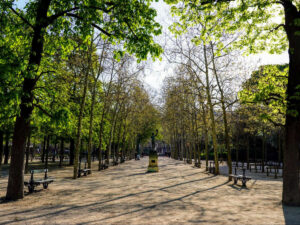 33 Interesting Facts About Paris (By a Local)
