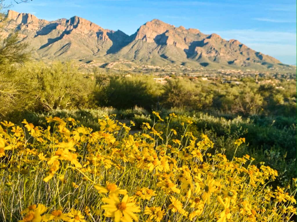 The Best Time to Visit Arizona (A Local’s Guide)
