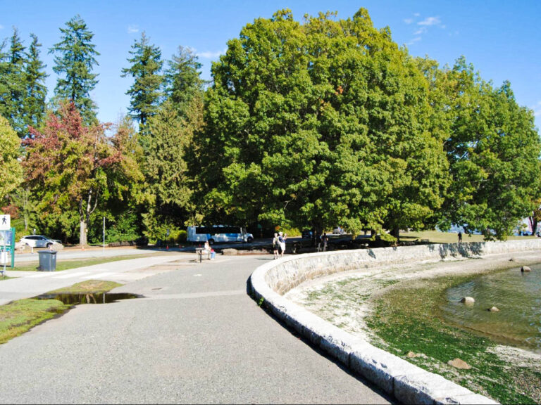 48 Best Things to Do in Vancouver (By a Local)
