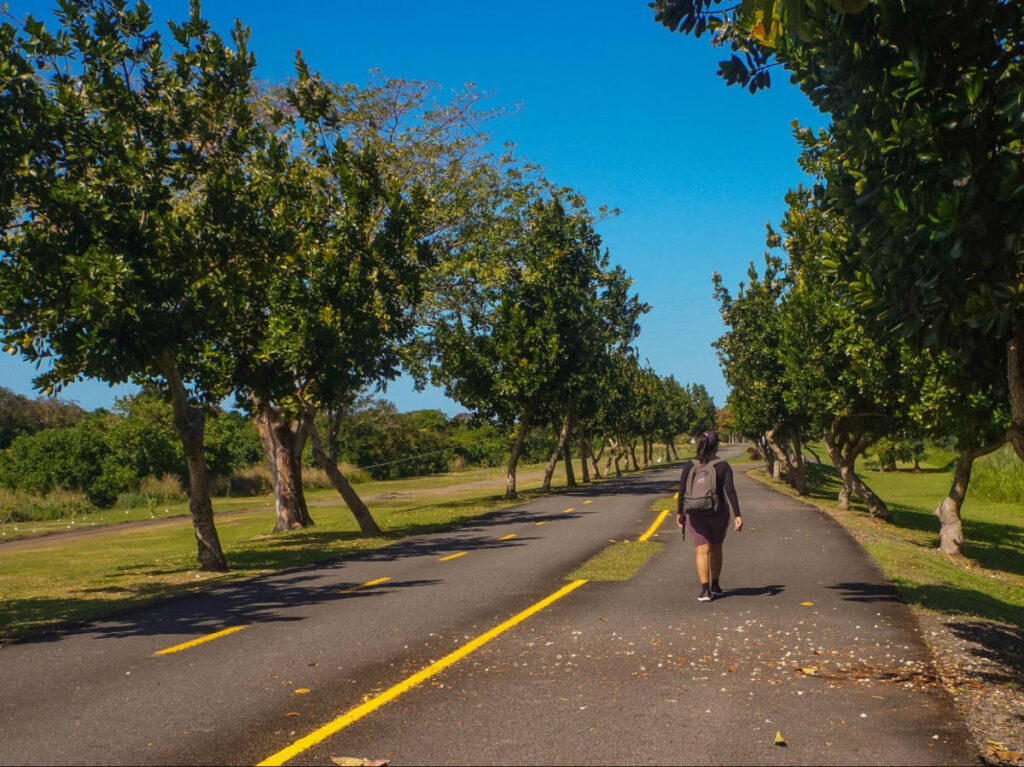 19 Fun Things to Do in Bayamón, Puerto Rico