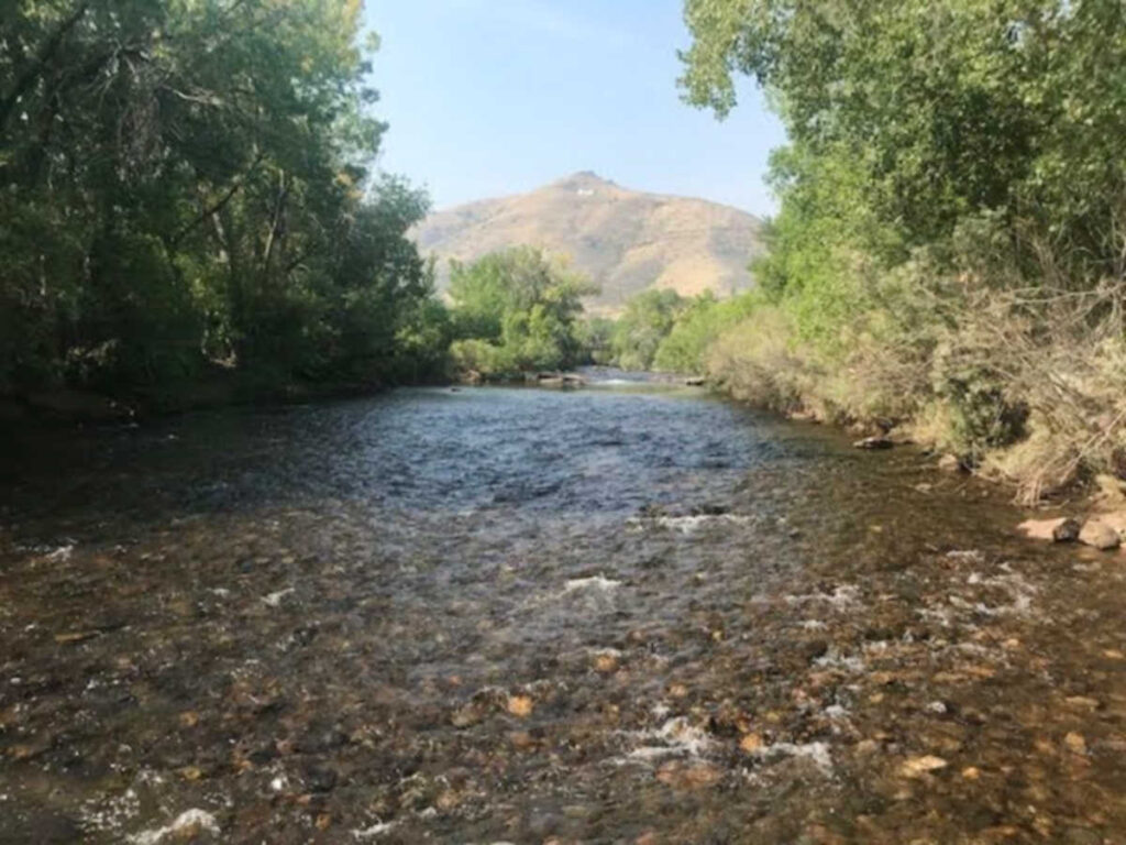 23 Fun & Unique Things to Do in Golden, CO