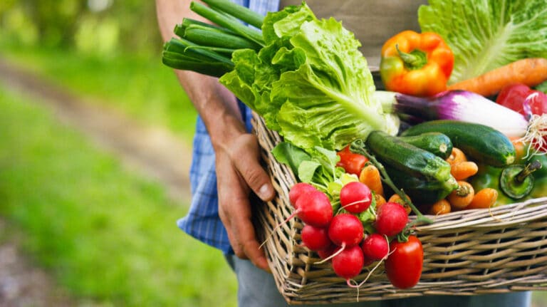 A Local Says to Visit These 25 Farms in Puerto Rico