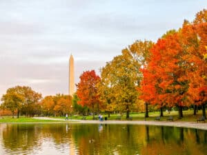 The Best Time to Visit Washington DC (A Local’s Guide)