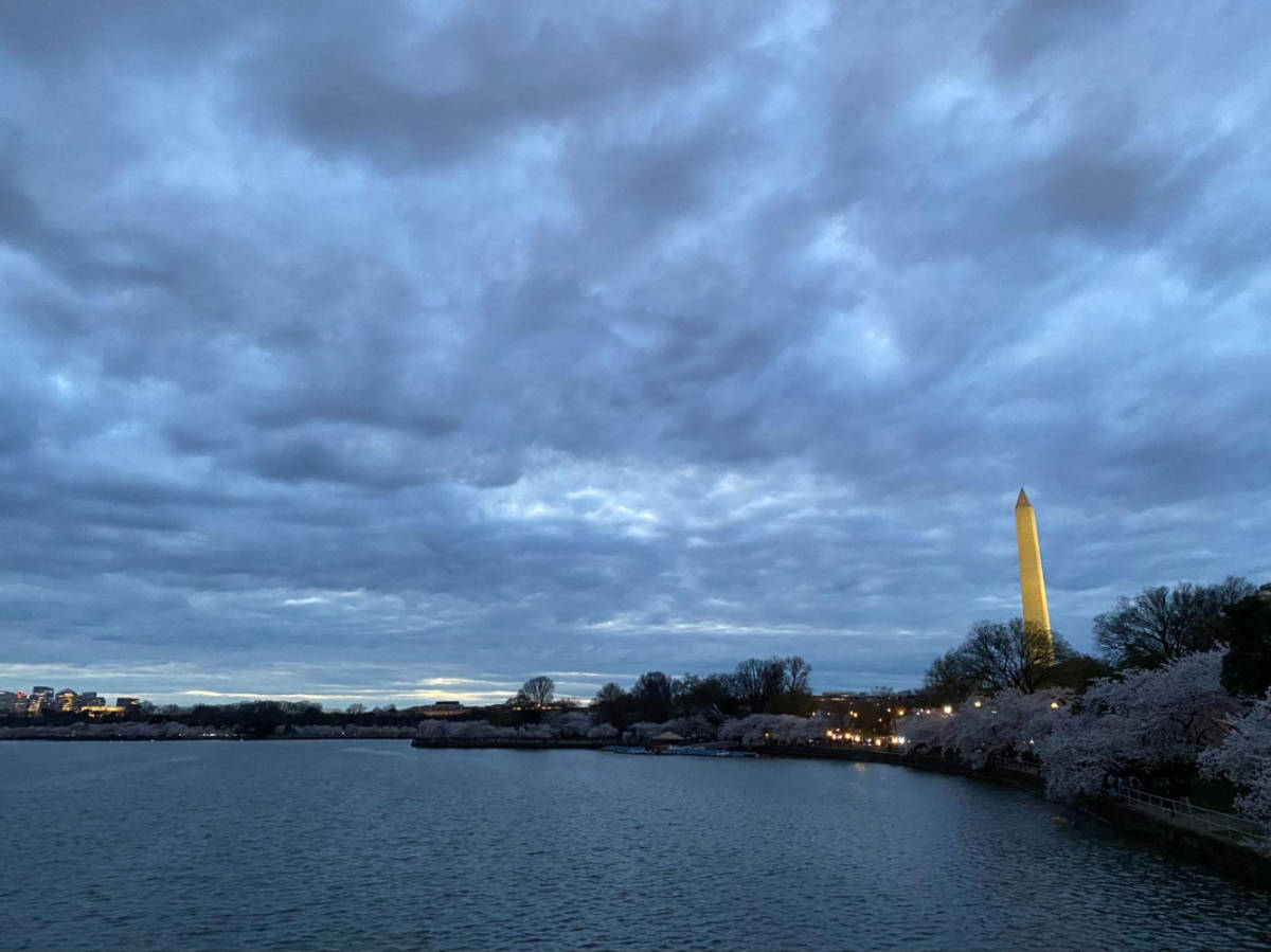 The Perfect Washington DC 5-Day Itinerary (By a Local)