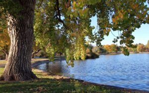 Is Denver Safe? (Honest Safety Facts & Tips)