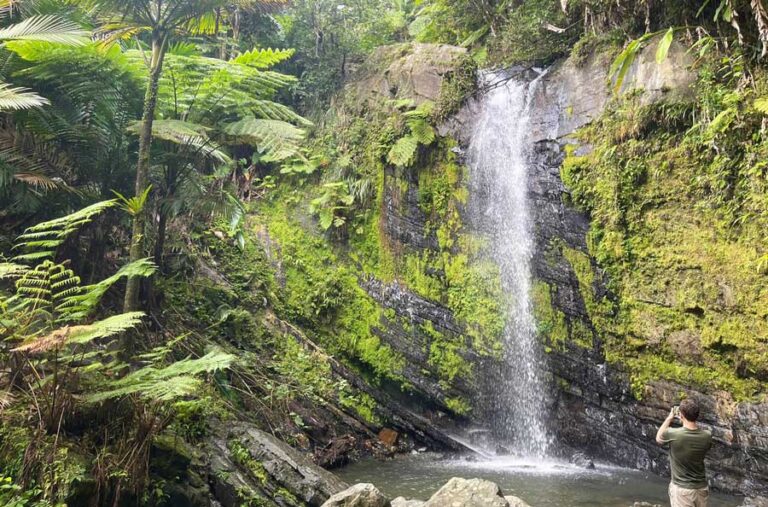 El Yunque National Forest Guide - Travel Lemming