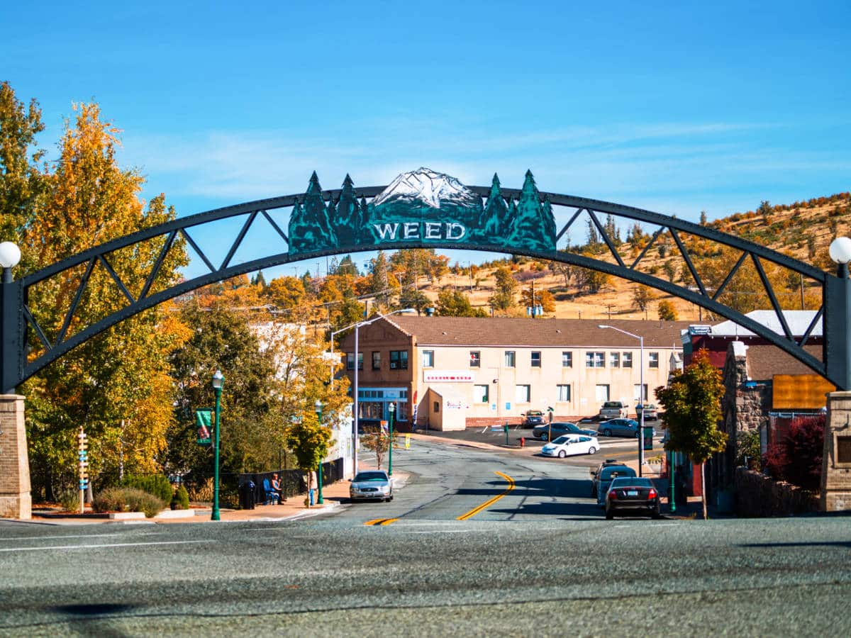 Where to Stay in Mount Shasta (Best Places & Areas)
