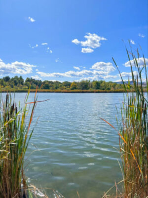 23 Fun & Unique Things to Do in Golden, CO