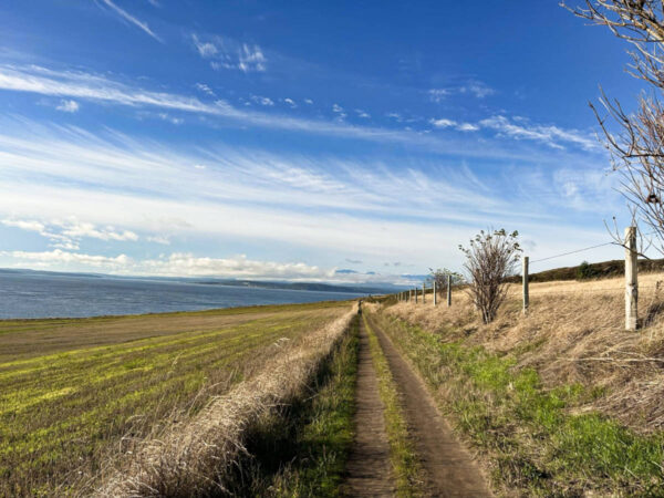 14 Best Islands in Washington State (By a Local)