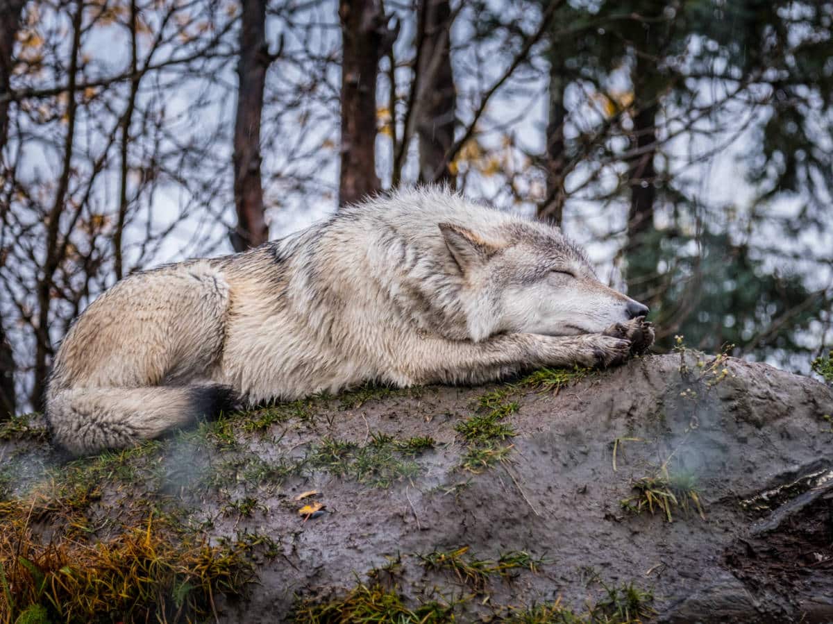 The Perfect Alaska Itinerary - Planned by a Local