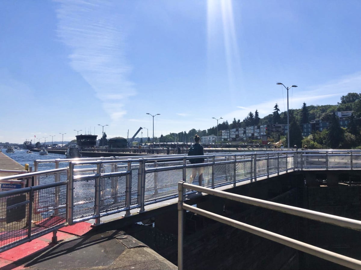 15 Best Things to Do in Ballard (By a Local)