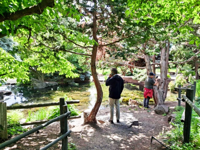 19 Best Things to Do in Yakima (By a Local)