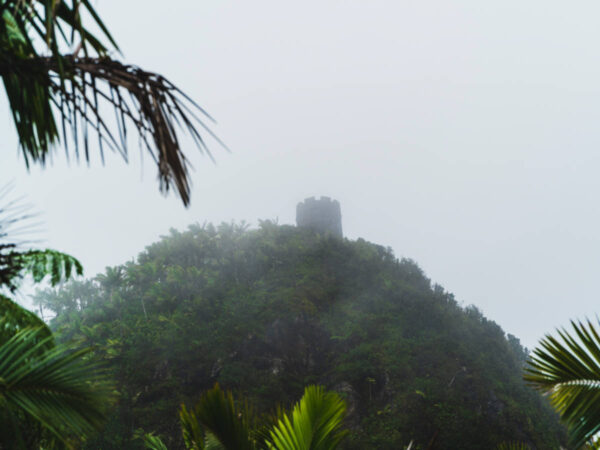 16 Best El Yunque Tours (Picked By a Local)