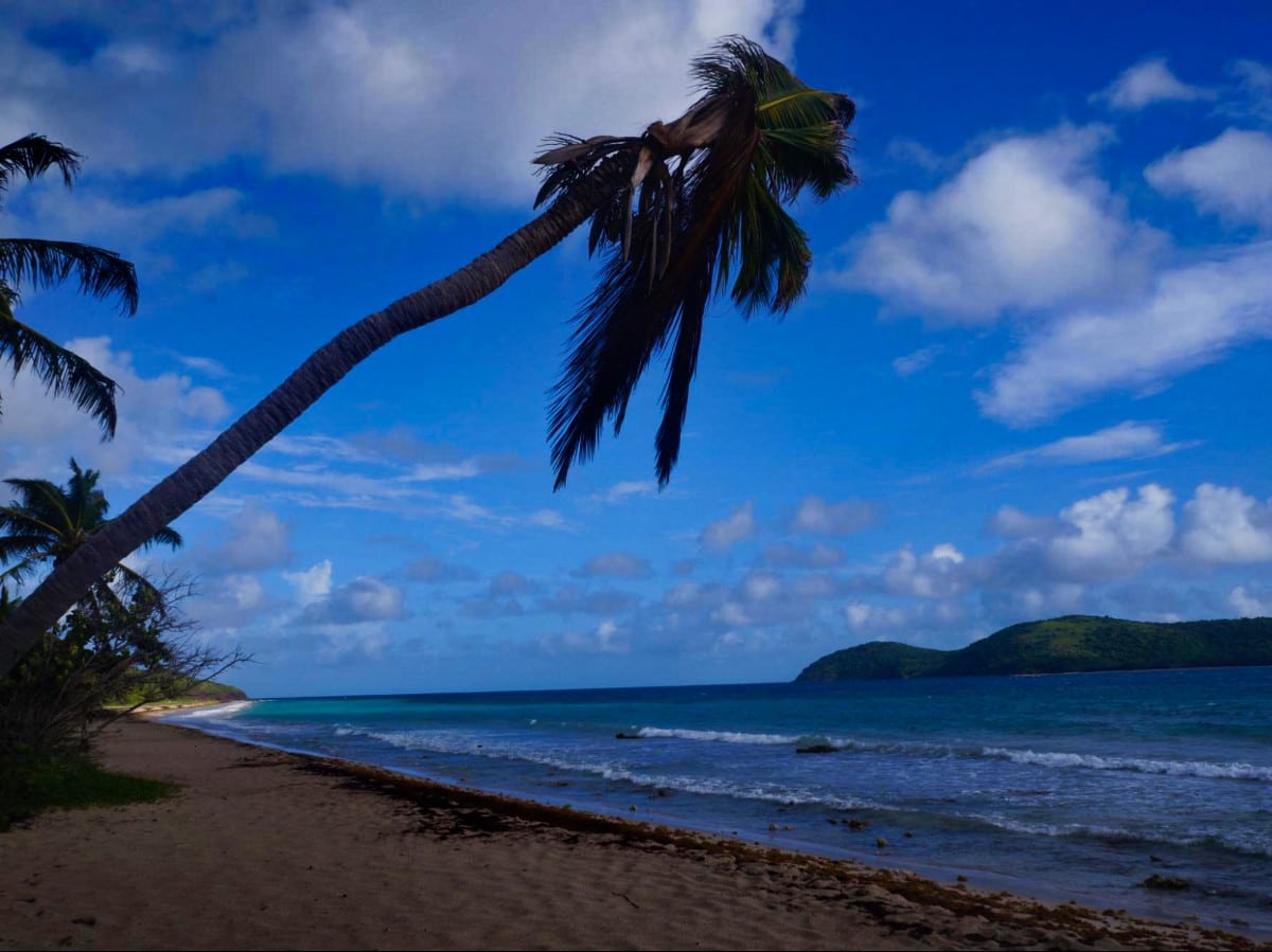Where to Stay in Culebra (Best Areas & Places)